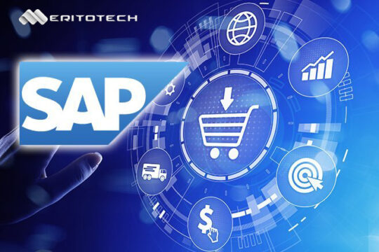About Us – SAP Cloud Solutions | Meritoech
